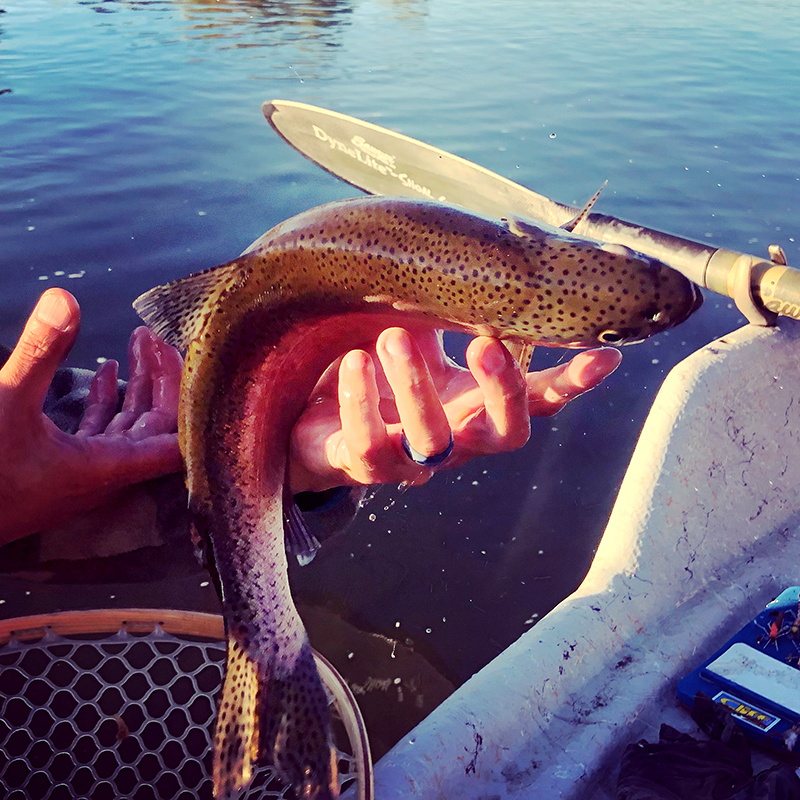 Fly Fishing Montana's Yellowstone River - Get Lost in America