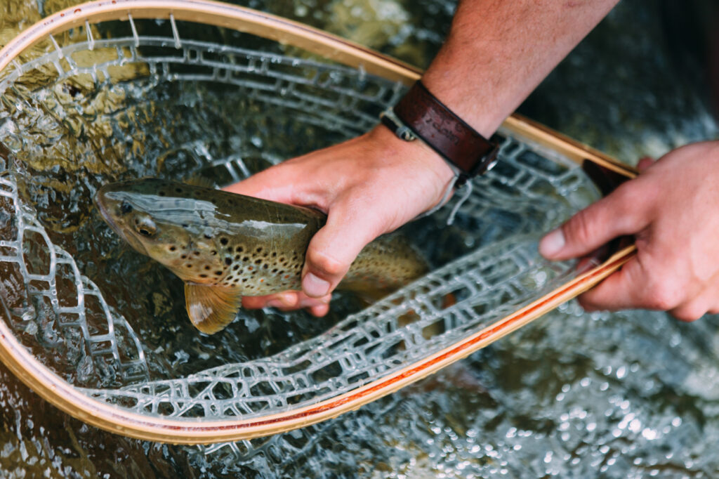 Italian Fly Fishing Tours - Get Lost in America