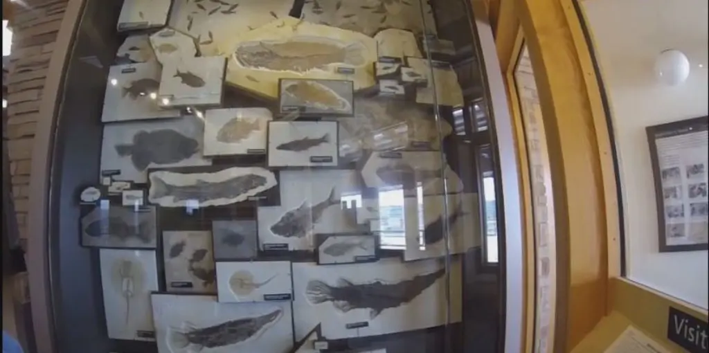 Fossil Butte National Monument - Get Lost in America